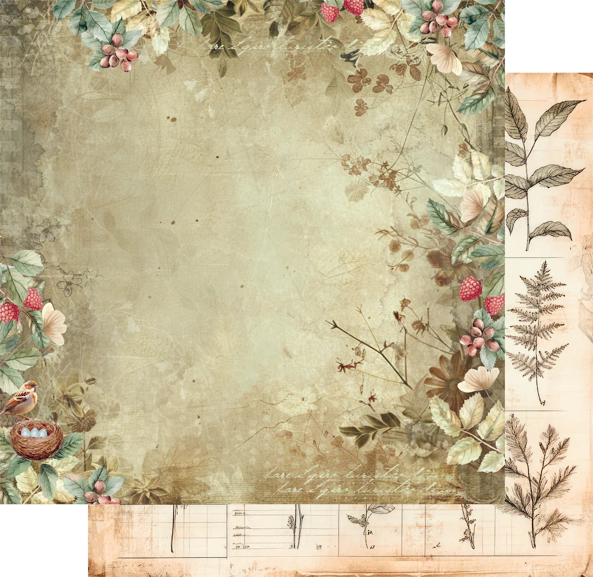 Beautiful Botany 12x12 Paper – Craftables