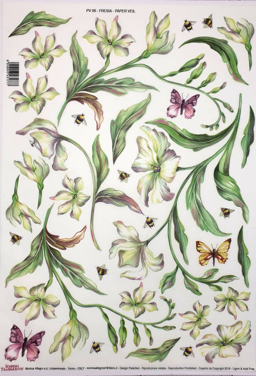 A4 Paper Veil PV06 - Fresia (5/pack) - (Sospeso Trasparentene) – Craftables